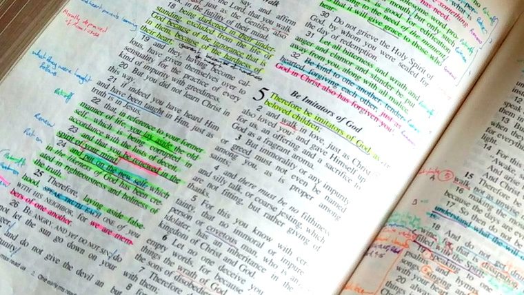 How to Read the Bible the Way You Need to - Darryl Burling