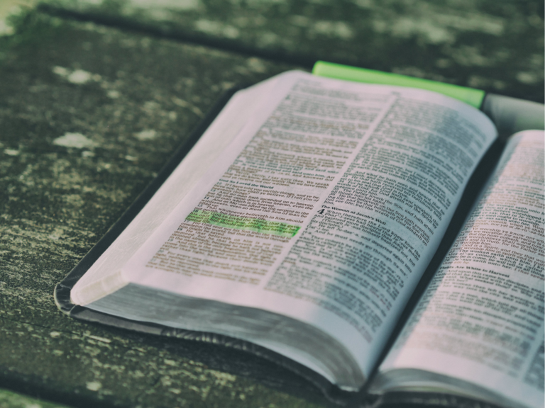 What is the best way to highlight my Bible? – Dr. Darryl Burling
